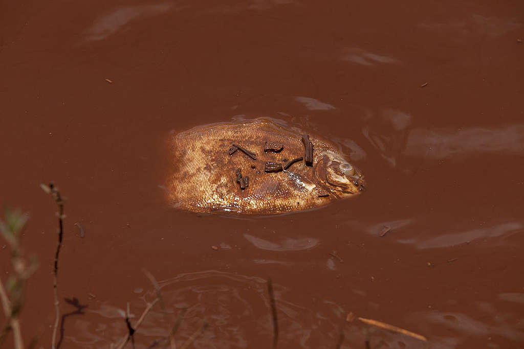 Their livelihood depended on the river, but its waters are now toxic ...