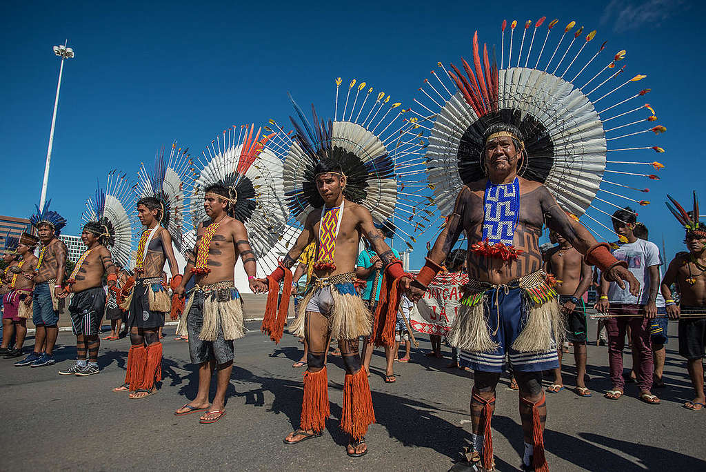 The Indigenous resistance in Brazil – in photos - Greenpeace International