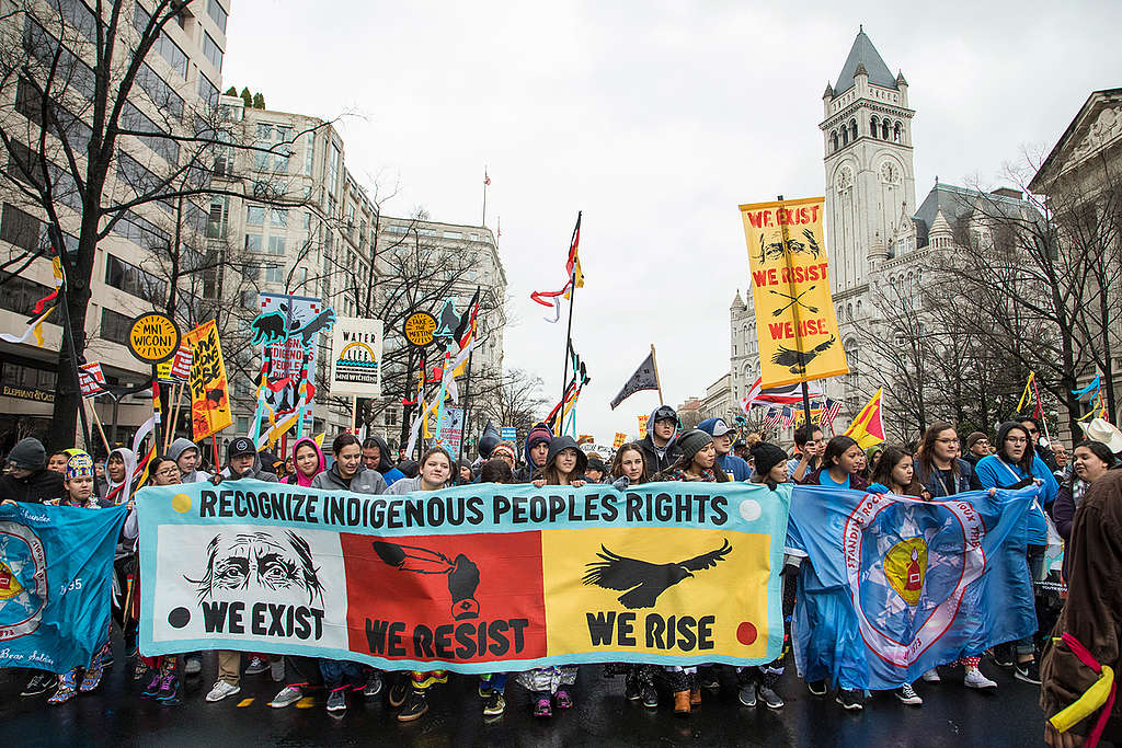 Celebrating Indigenous resistance around the world - Greenpeace ...