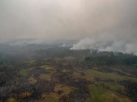 The Russian wildfires in pictures - Greenpeace International