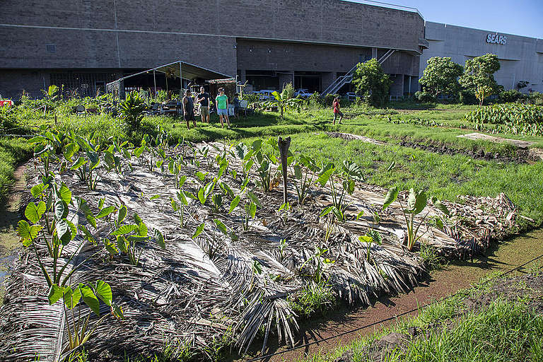 Five reasons to look after our land - Greenpeace International