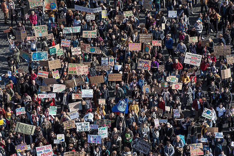 How do you start a global environmental movement? - Greenpeace ...
