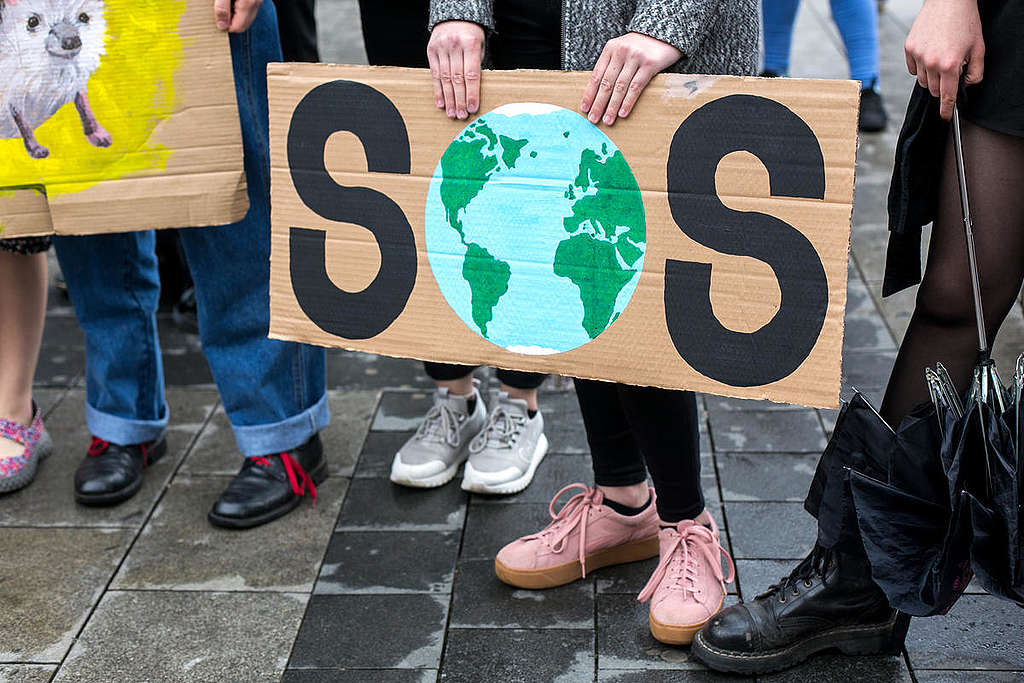 Campaigns - Greenpeace International