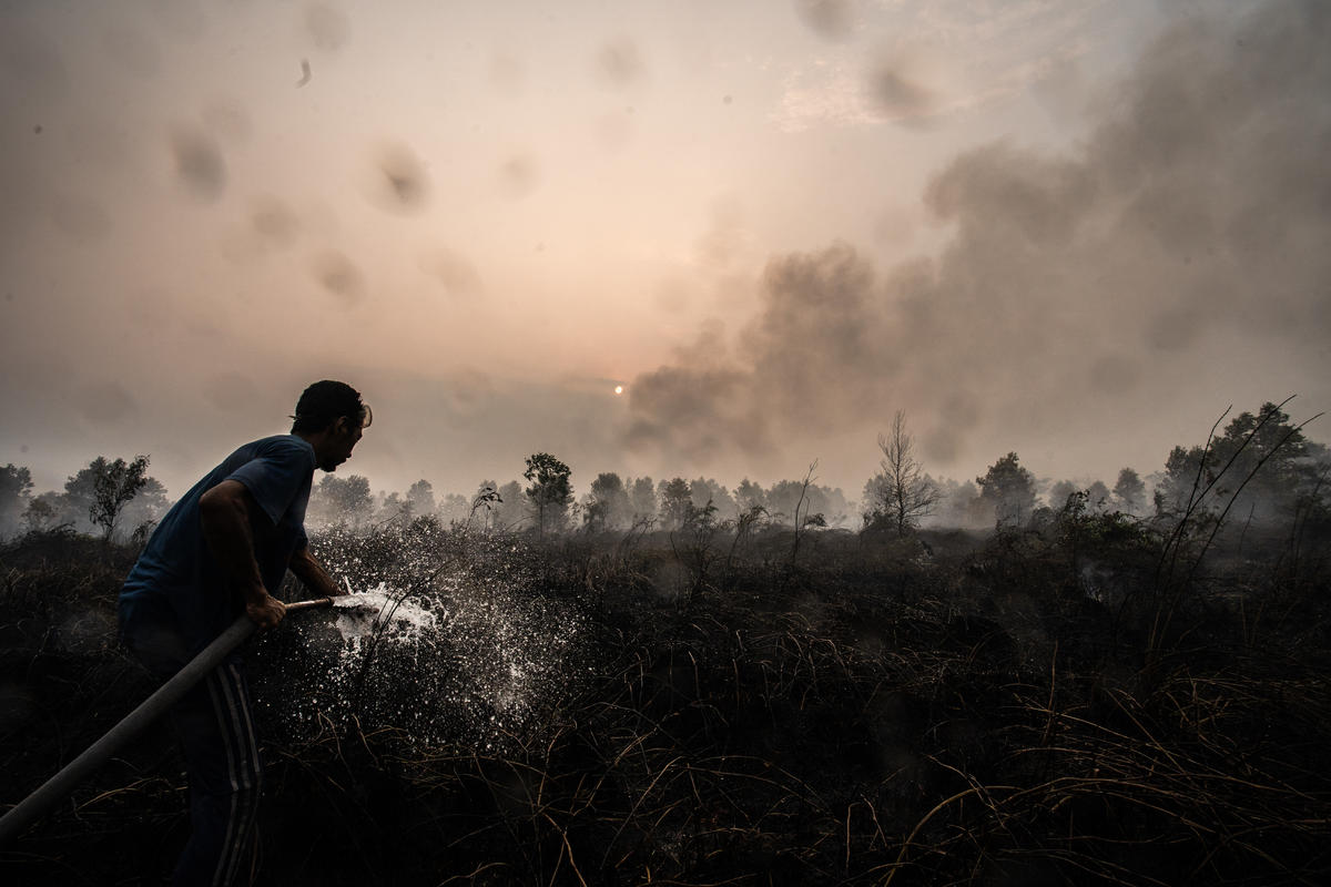 Climate Emergency: The best of Greenpeace images 2019 - Greenpeace ...