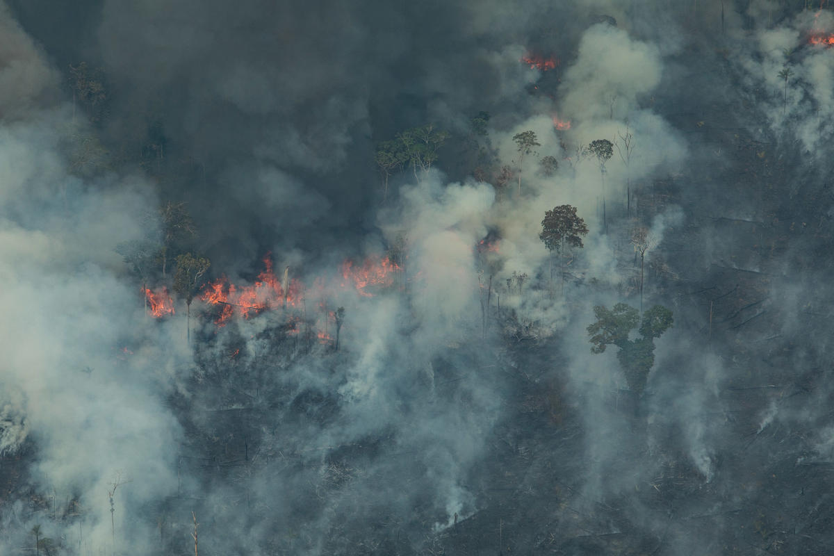 Climate Emergency: The best of Greenpeace images 2019 - Greenpeace ...