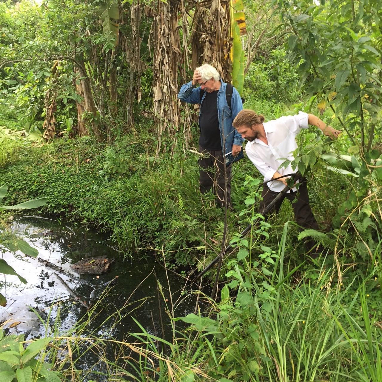 Steven Donziger: The man who stood up to an oil giant, and paid the ...