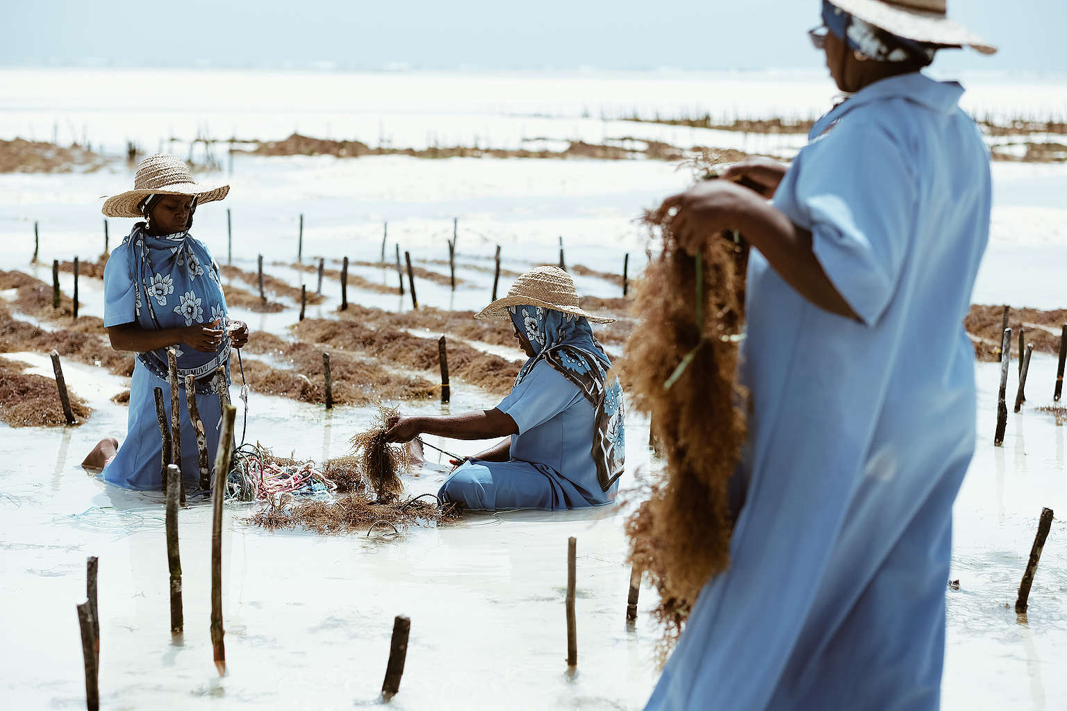 10 inspiring women who bring environmental stories to their crafts ...