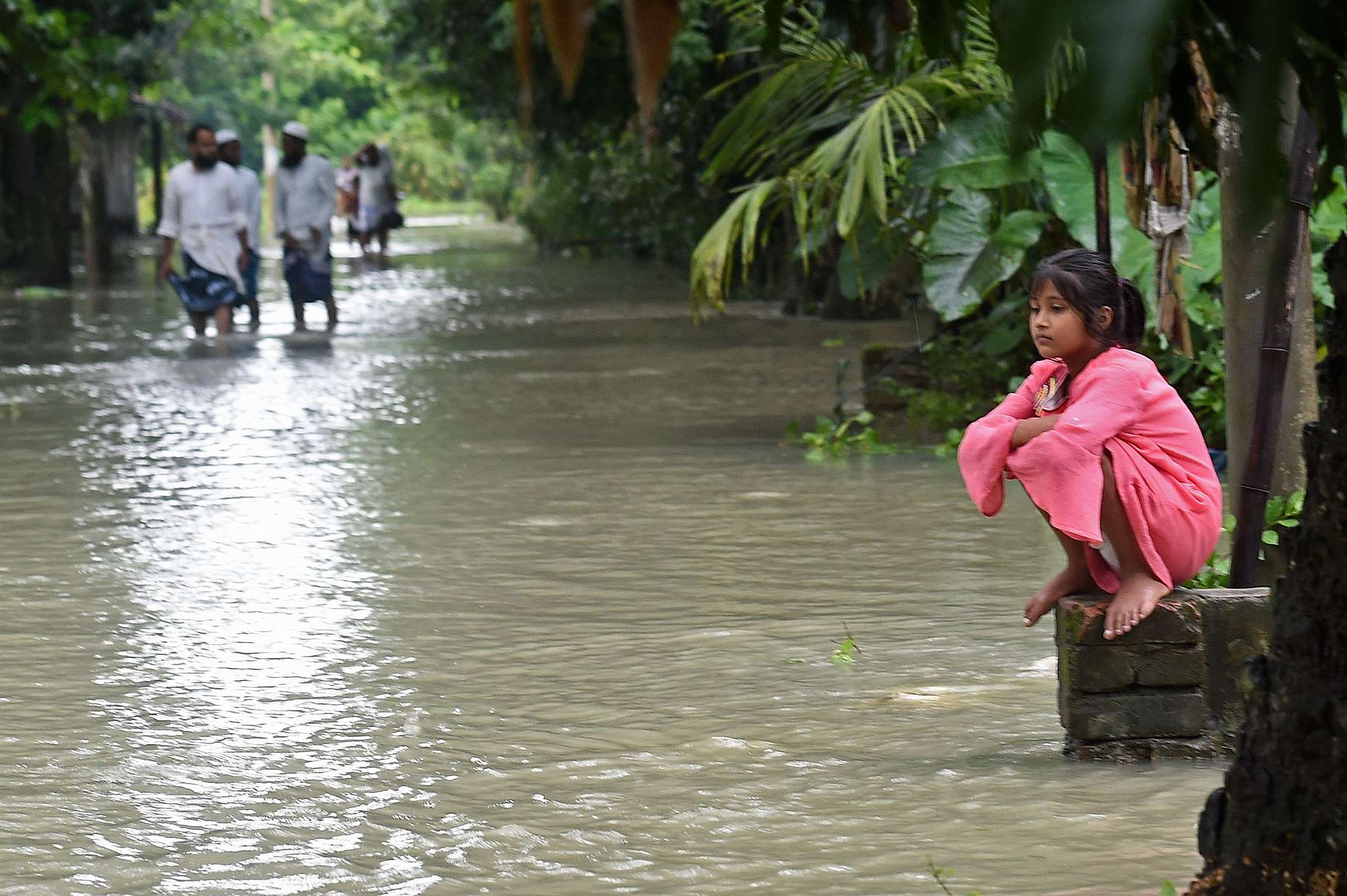 Flooded cities and millions displaced in pictures - Greenpeace ...