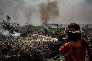 An Environmental Crisis in Borneo - Greenpeace International