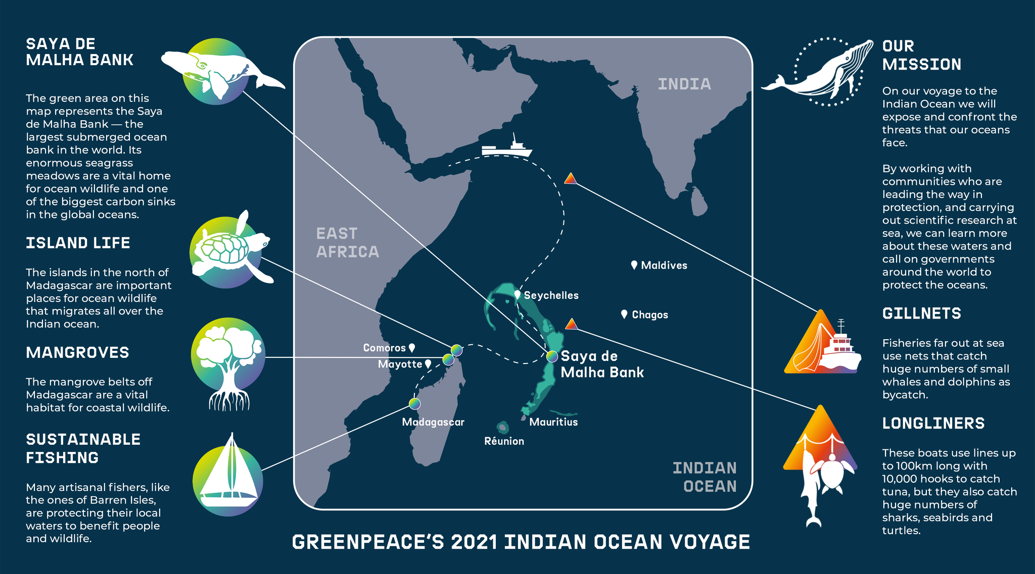 Protect the Oceans with the Arctic Sunrise in the Indian Ocean ...