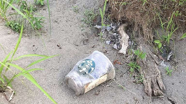 Plastic pollution is a global problem - Starbucks needs to take global ...
