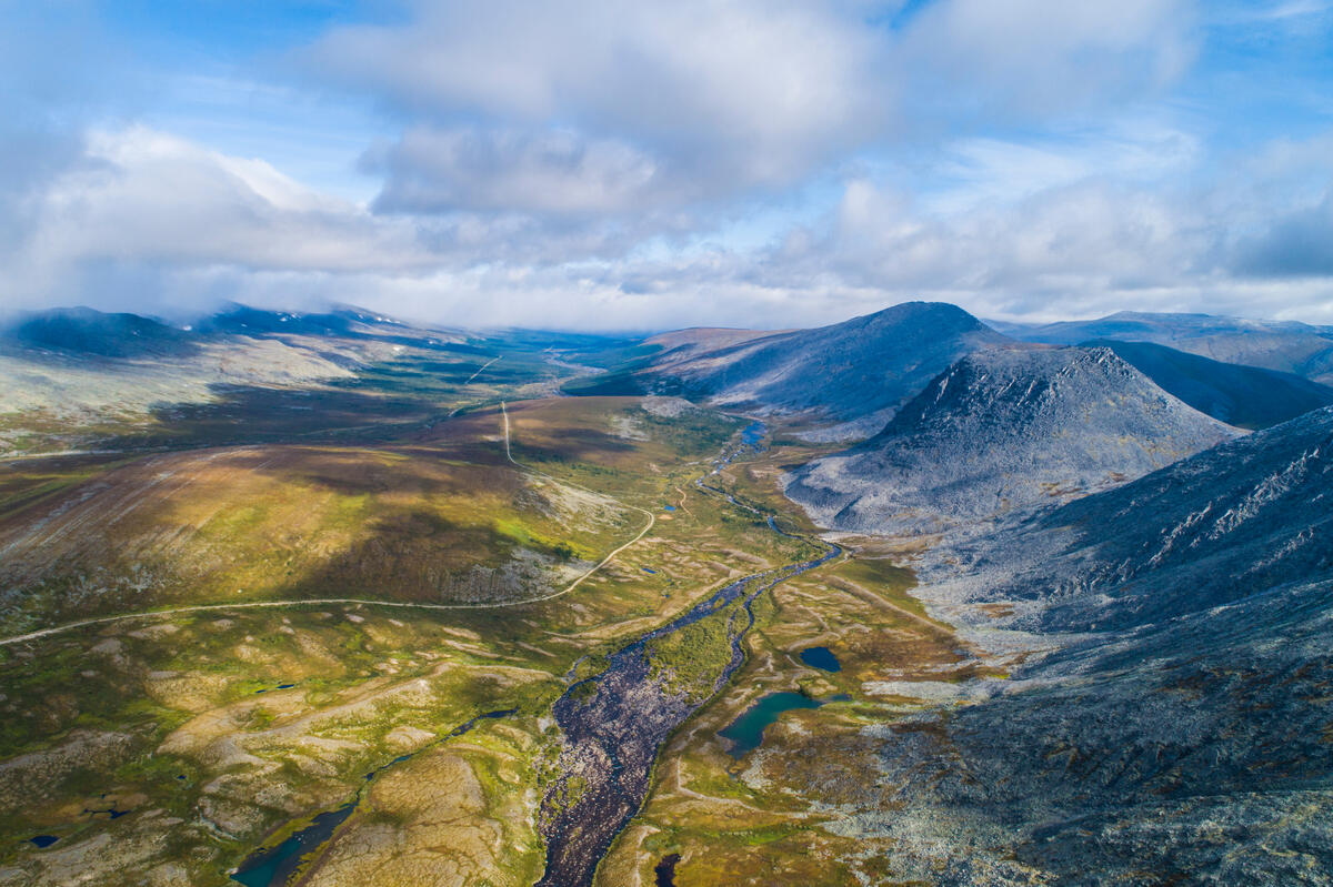 Earth Day 2021 - Greenpeace International