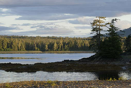 Rachel Carson – And the birth of modern environmentalism - Greenpeace ...