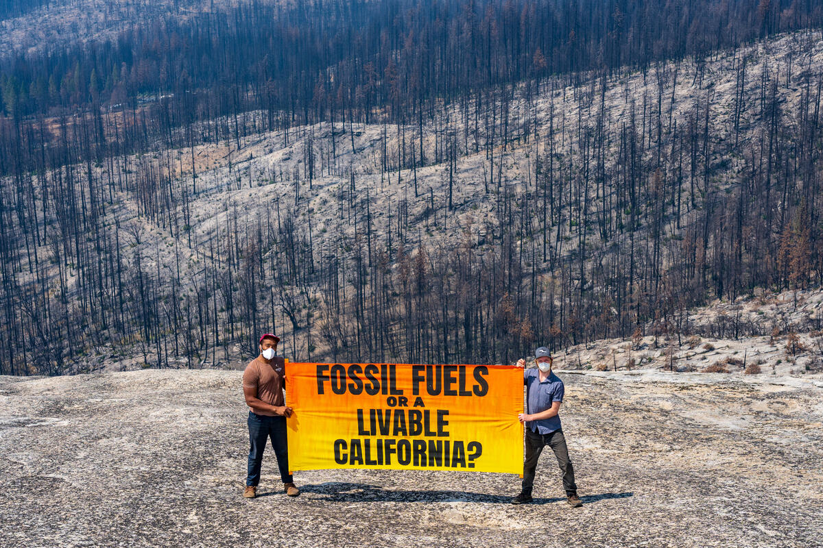 2021’s incredible moments in pictures - Greenpeace International