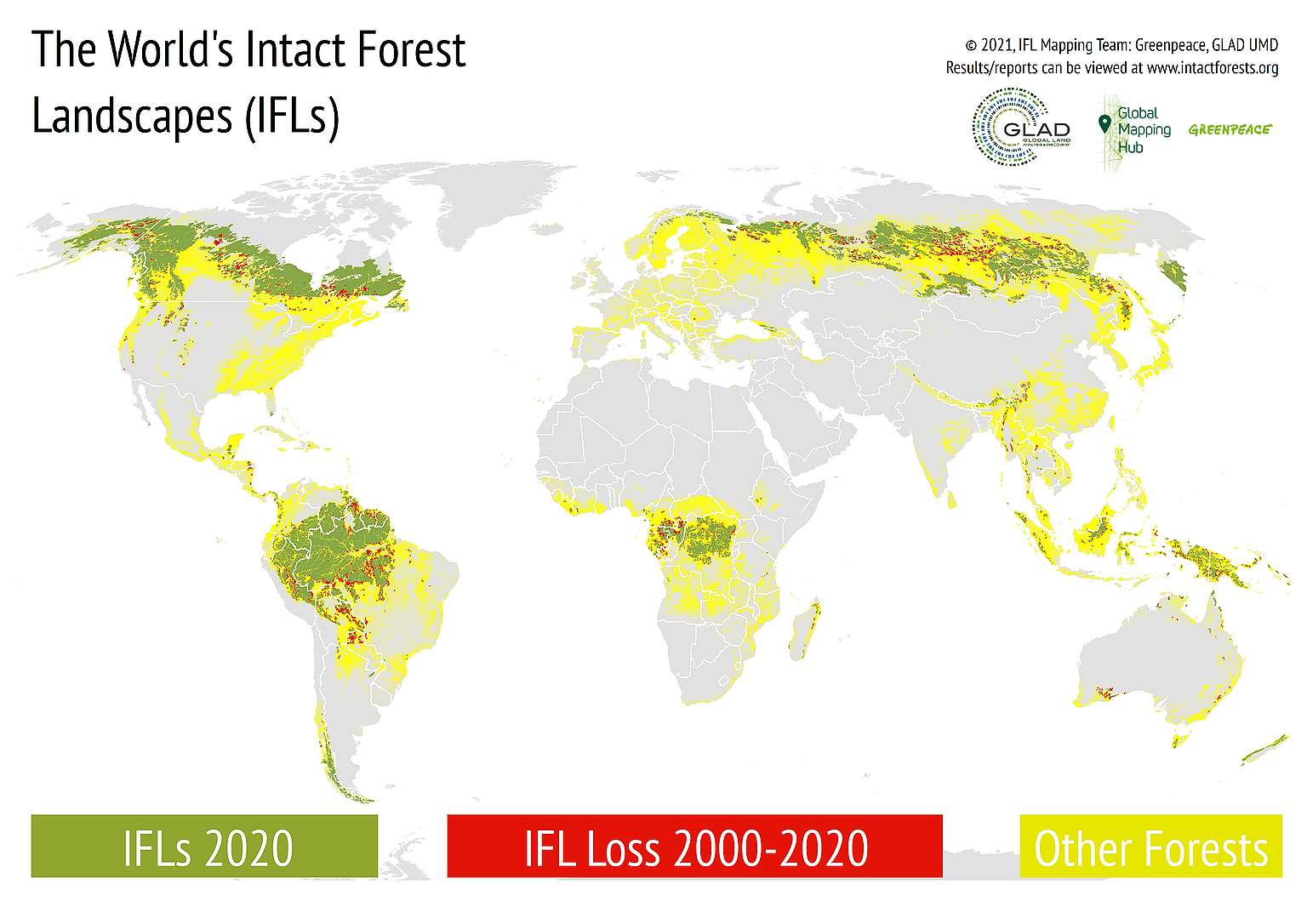 Wild forests are disappearing faster and faster every year. We must act ...