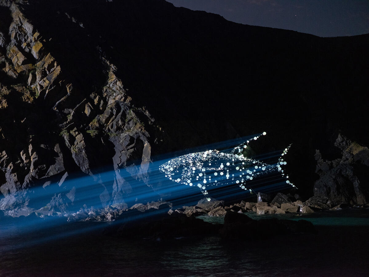 2021’s incredible moments in pictures - Greenpeace International