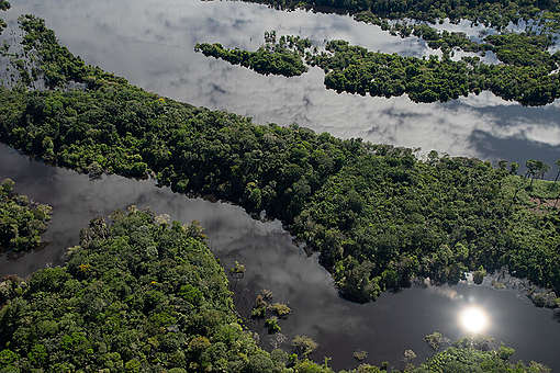 The Amazon We Need expedition - Greenpeace International