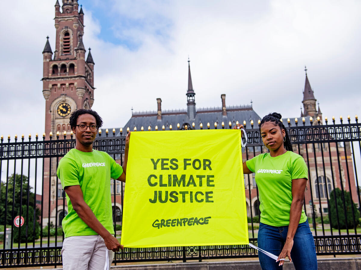 The UN officially recognised the right to a healthy environment. Here’s ...