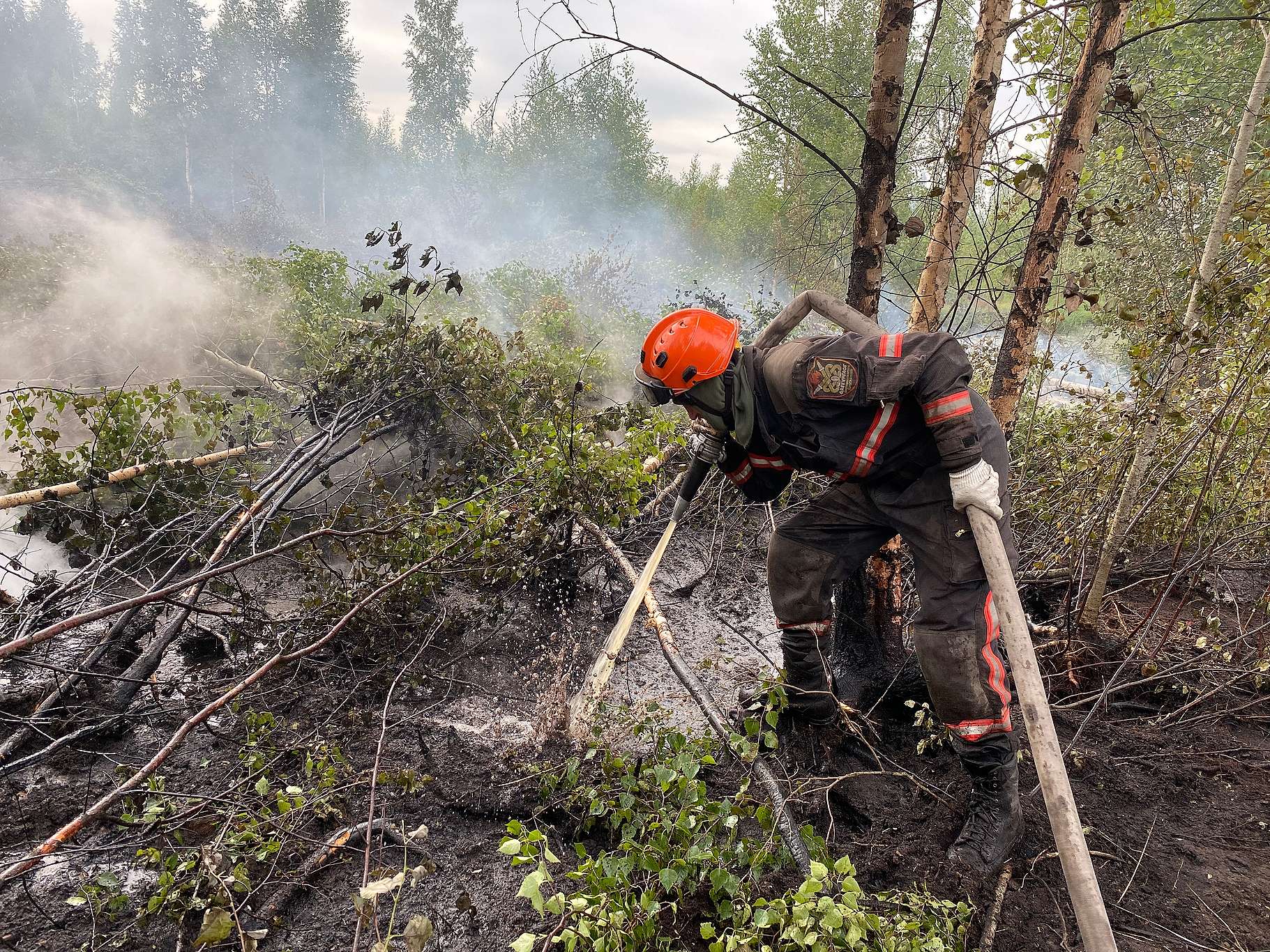 Peatland protection is climate protection - Greenpeace International