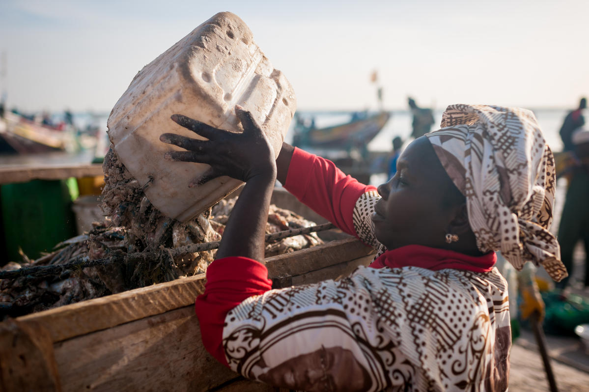 Ana Sama Jën - Where is my Fish? - Greenpeace International