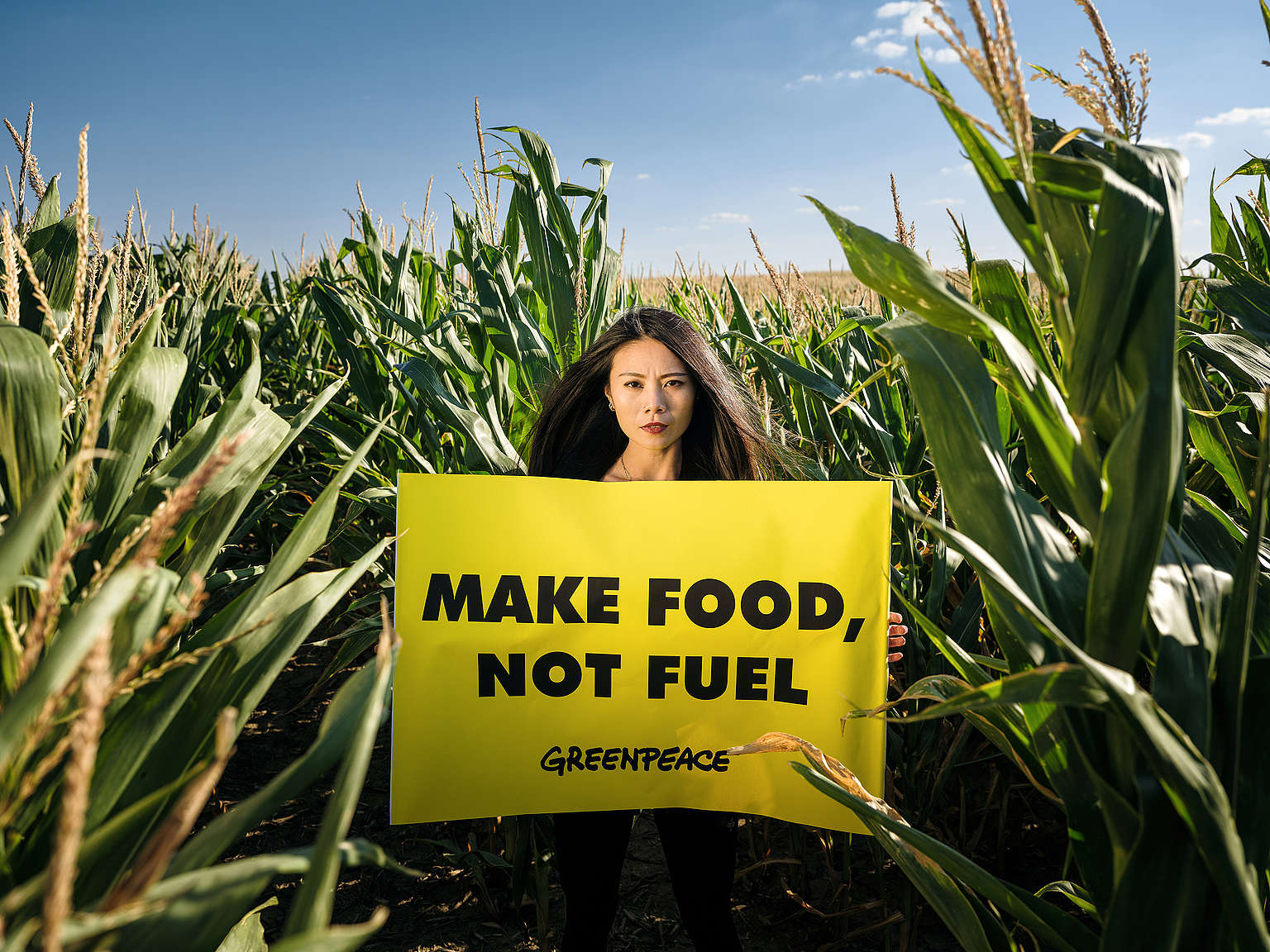 2022 moments in pictures - Greenpeace International
