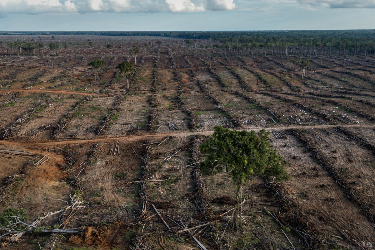 Big Ag’s Roadmap to 1.5 could push the planet from tipping points into ...