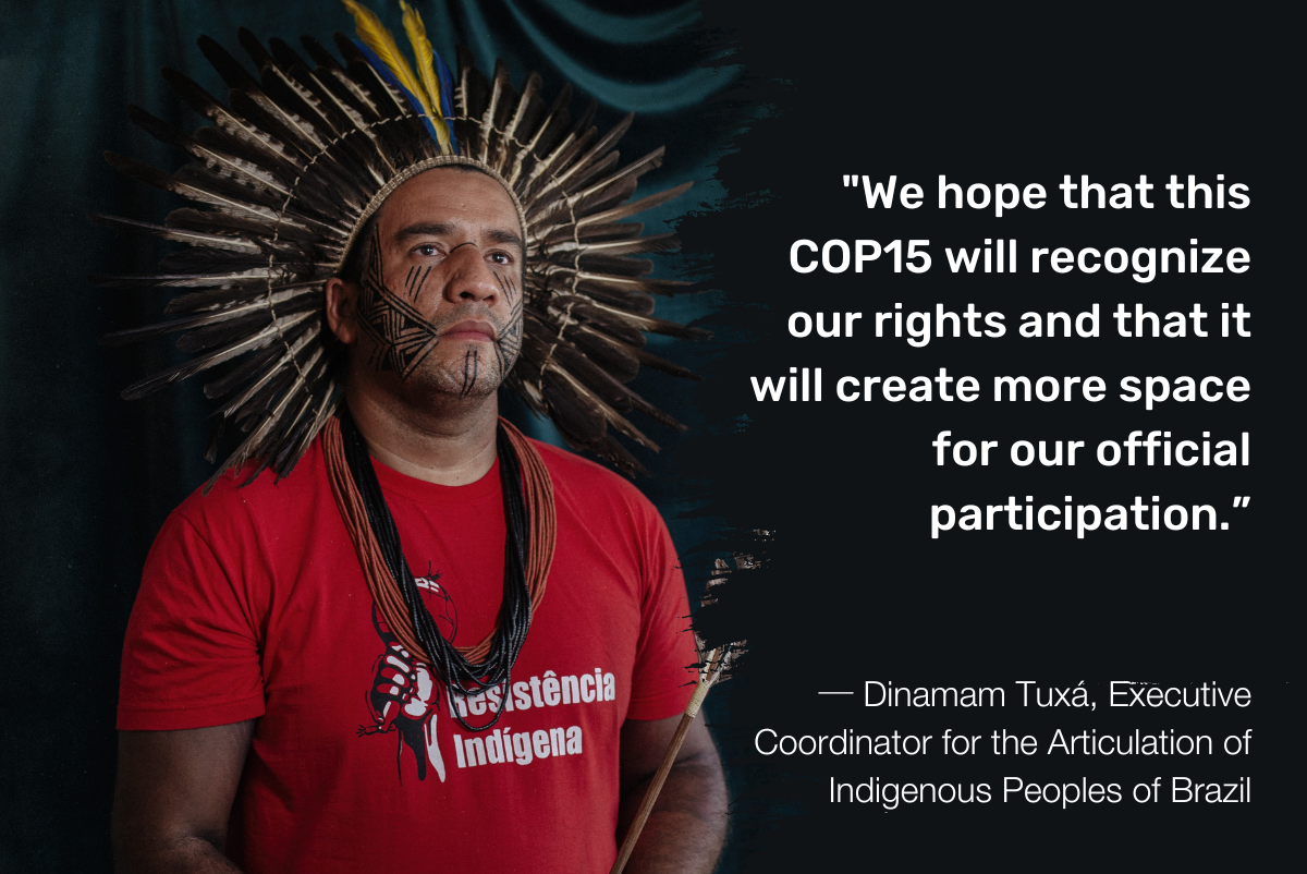 Meet 4 inspiring Indigenous Leaders at COP15 - Greenpeace International