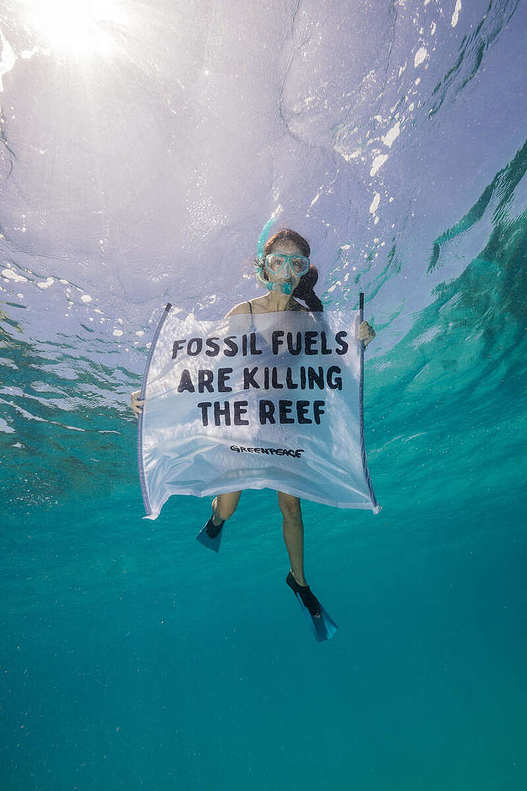 2022 moments in pictures - Greenpeace International