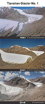 A seed was planted in my heart to care about nature - Greenpeace ...