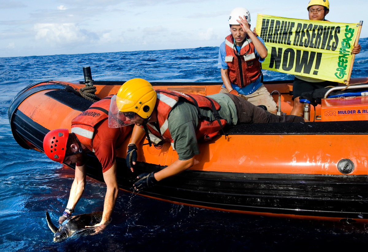 How we got an Global Ocean Treaty – and what comes next - Greenpeace ...