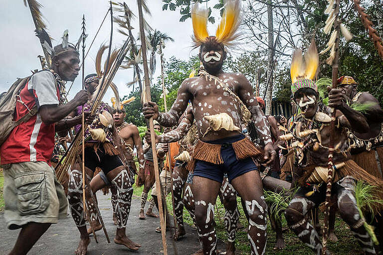 Stand with Indigenous Auyu to Defend Papuan Forests - Greenpeace ...