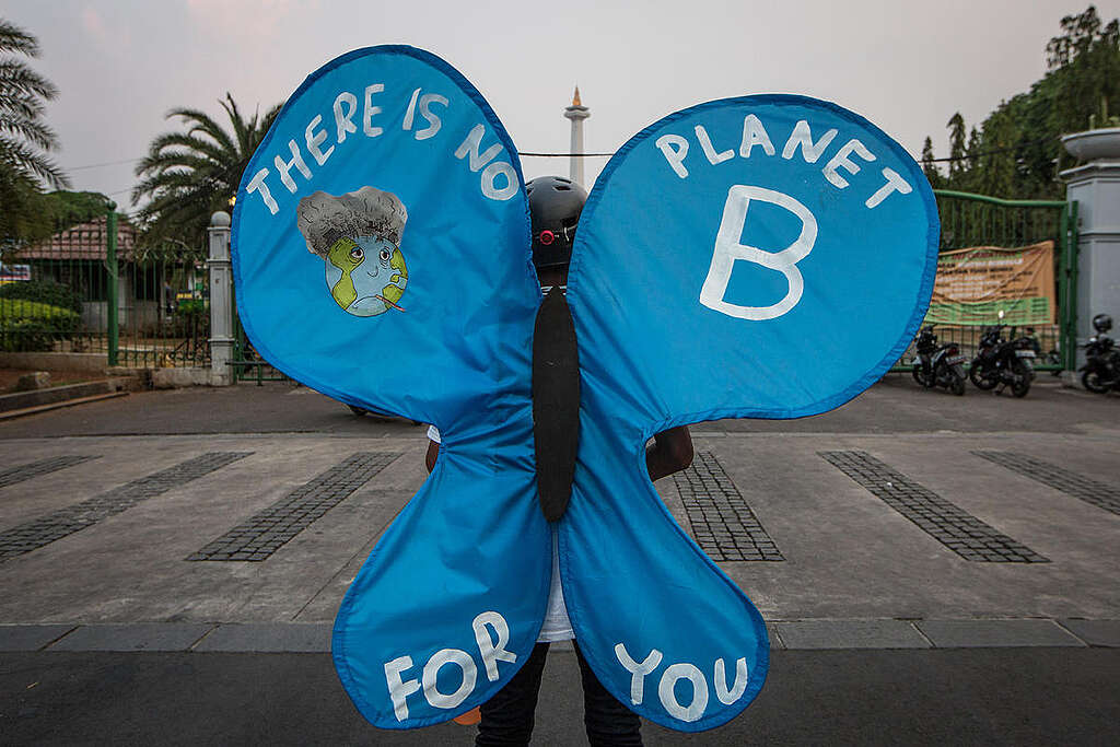 Peace - Greenpeace International