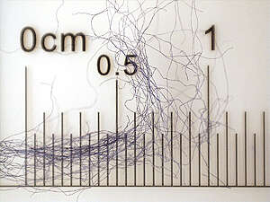 How fast fashion fuels climate change, plastic pollution, and violence ...