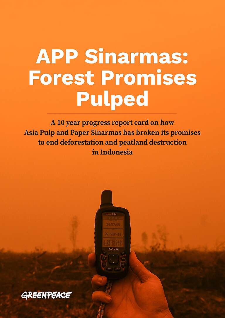 Forests - Greenpeace International