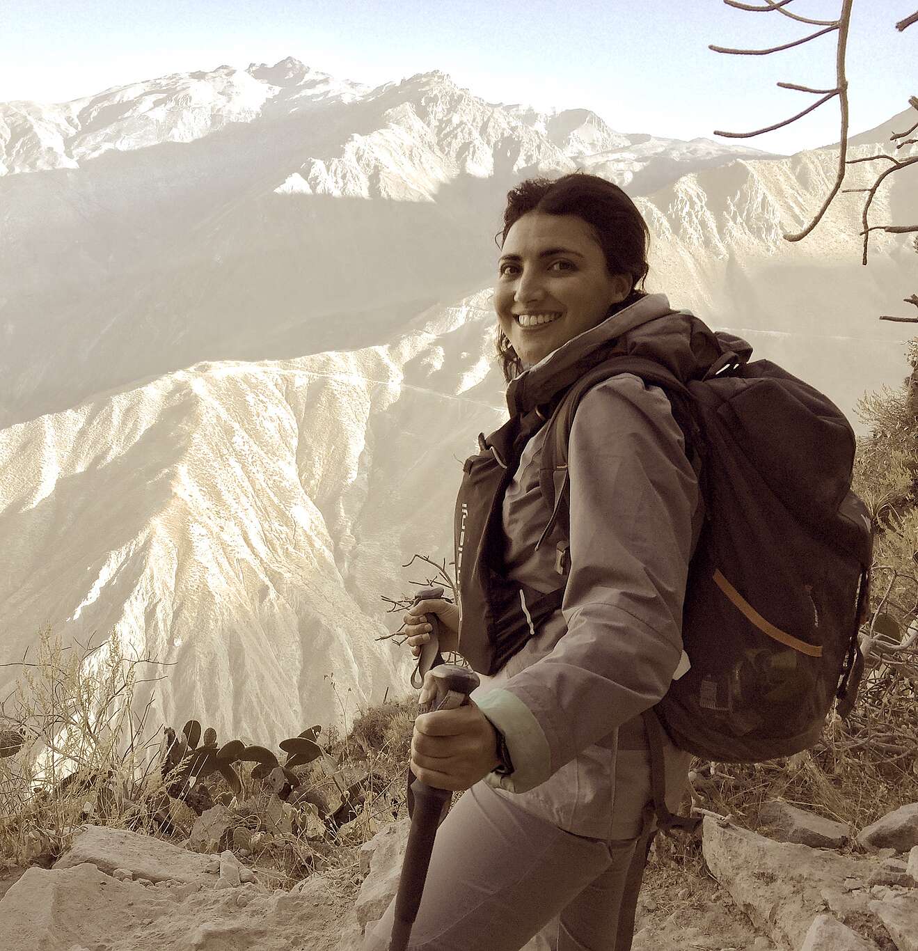 Climate Voices on Social Media of 2023 - Greenpeace International