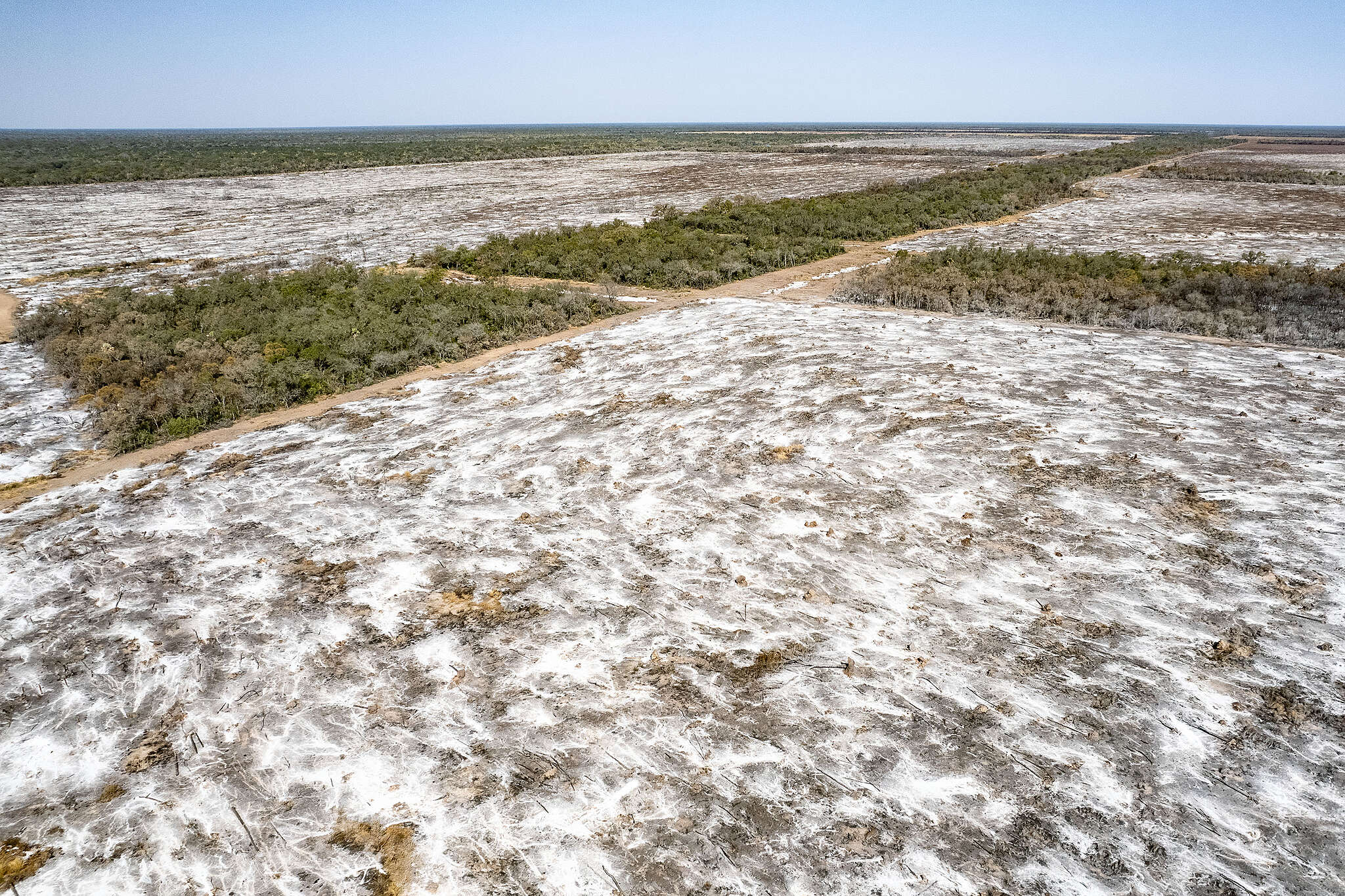 This is what deforestation looks like in Argentina in 10 shocking ...