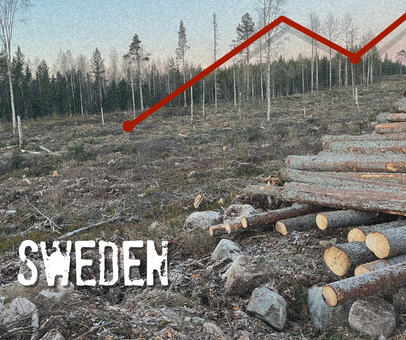Nature Crime Files - Greenpeace International