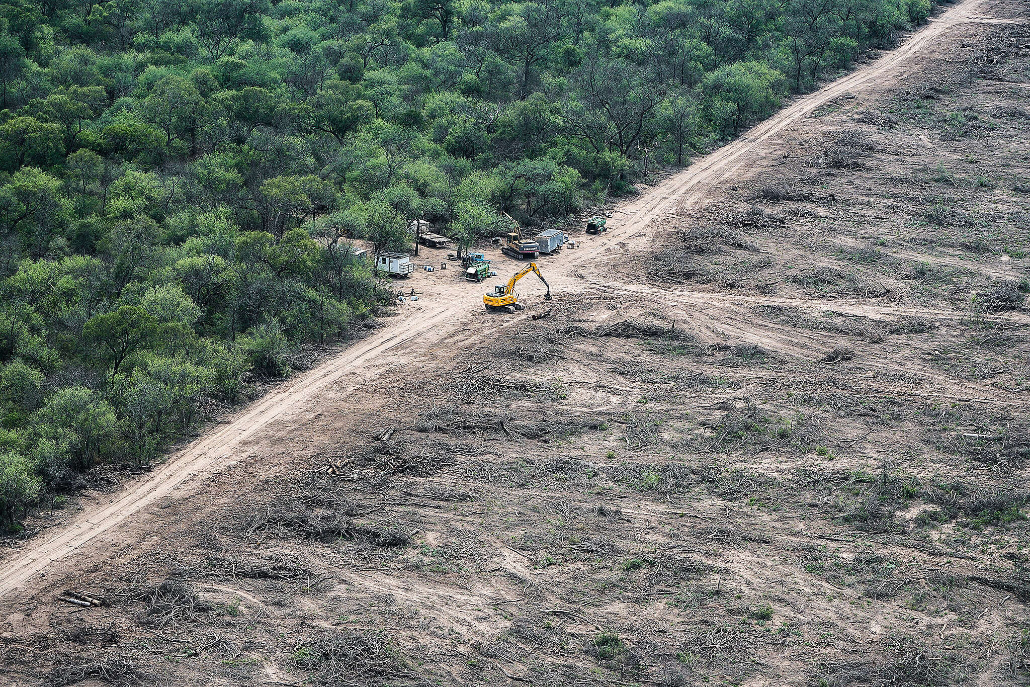 This is what deforestation looks like in Argentina in 10 shocking ...