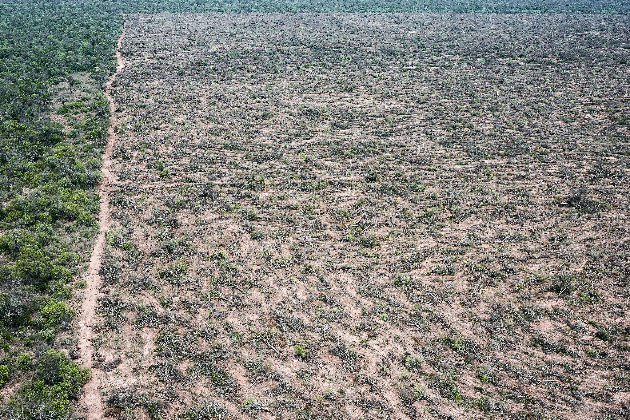 This is what deforestation looks like in Argentina in 10 shocking ...