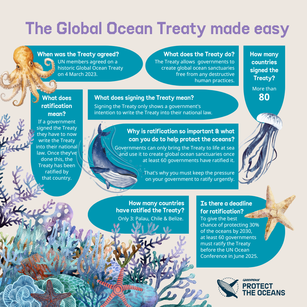 Global Oceans Treaty ratification tracker: Which countries have signed ...