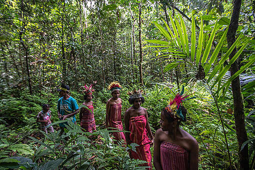 Protecting rainforests with Indigenous Peoples and Local Communities ...