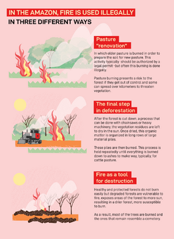 Brazil is on Fire - Greenpeace International