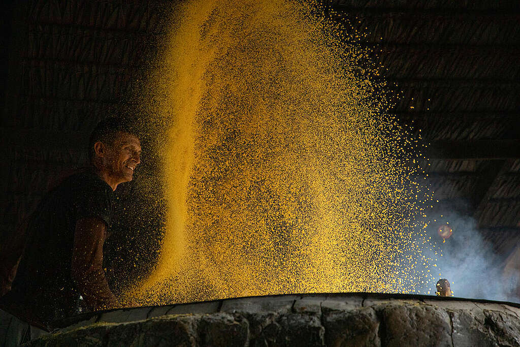 How Indigenous Peoples and Local Communities can protect and restore ...