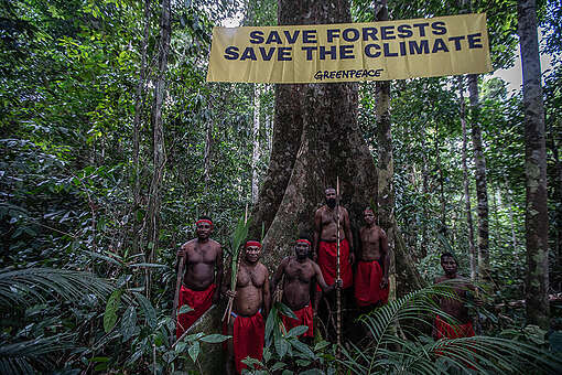 How Indigenous Peoples and Local Communities can protect and restore ...