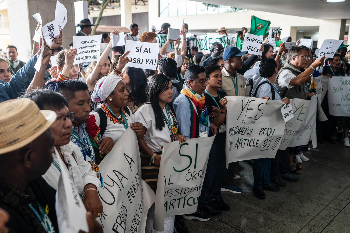 COP16: successes and challenges for nature protection - Greenpeace ...