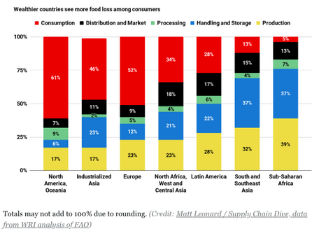 Waste not, want not: Addressing food waste for a just and ecological ...