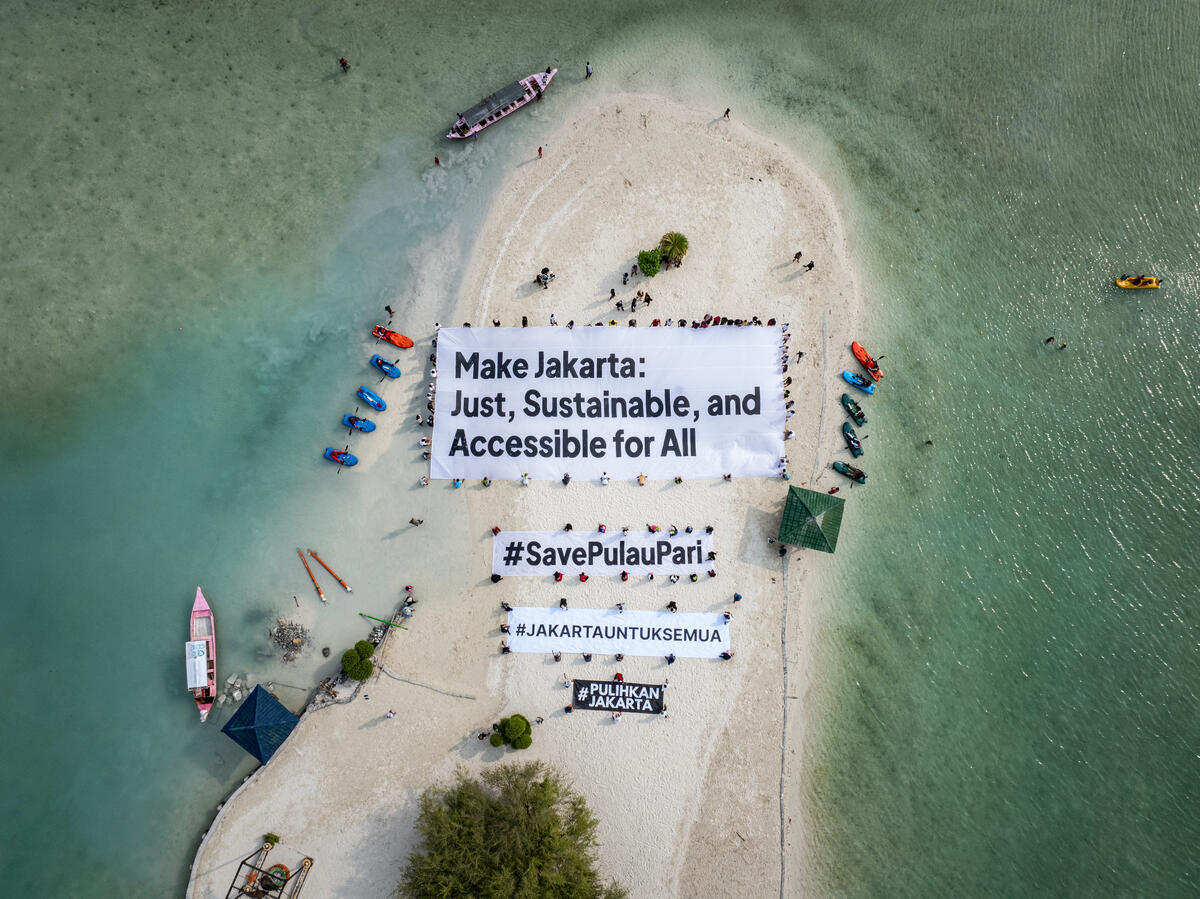 Best of Greenpeace actions in 2024 - Greenpeace International