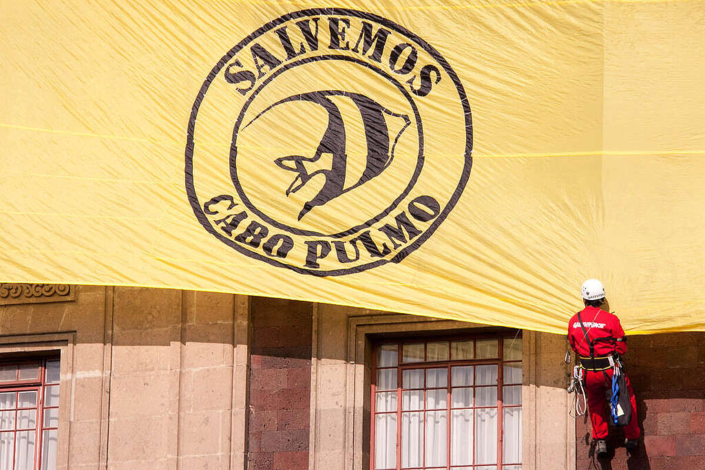 Cabo Pulmo is at risk of being plundered for profit – again ...