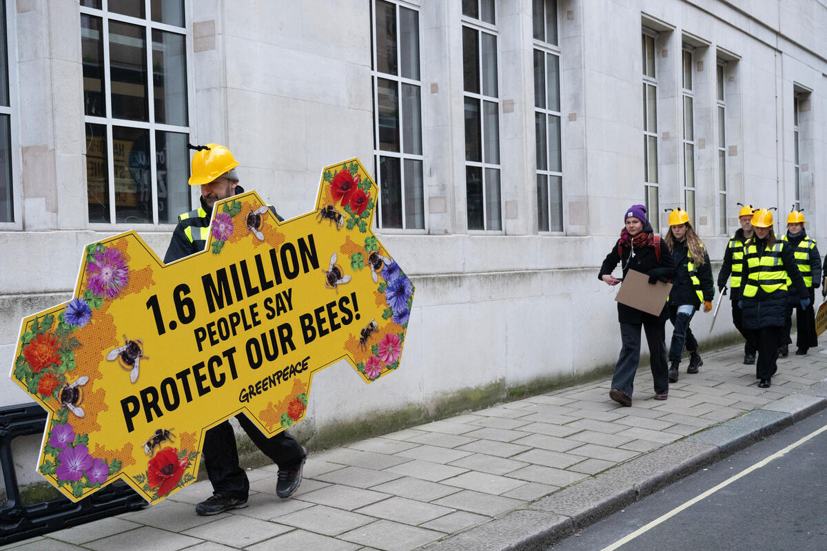 Greenpeace Pictures of the Week - Greenpeace International