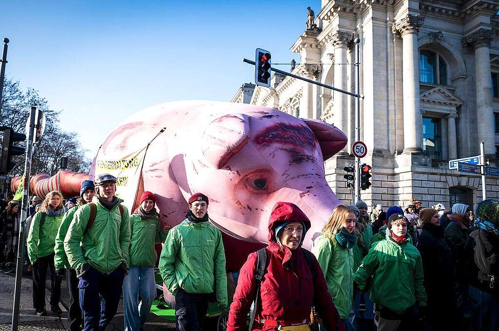 Greenpeace Pictures of the Week - Greenpeace International